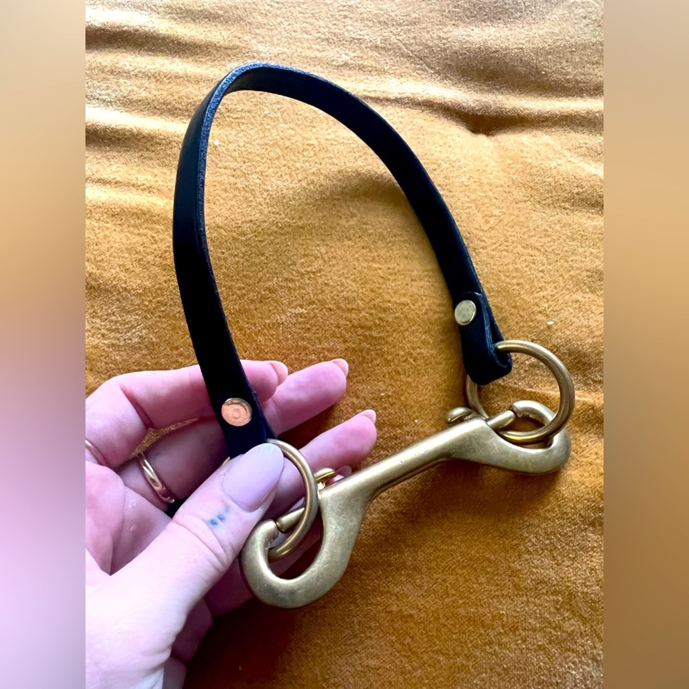 Heavy Duty Collar - Gem